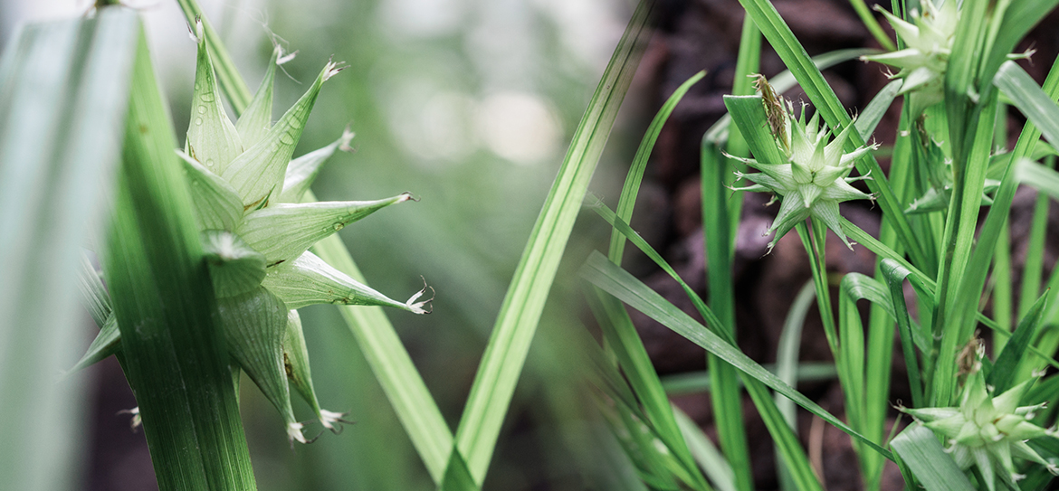 „Alles in Form gebracht!“ - Werfen Sie mit uns einen Blick auf ein ...